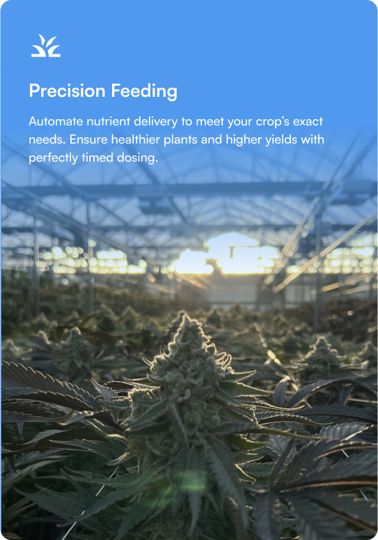 Growlink | Precision Irrigation Software
